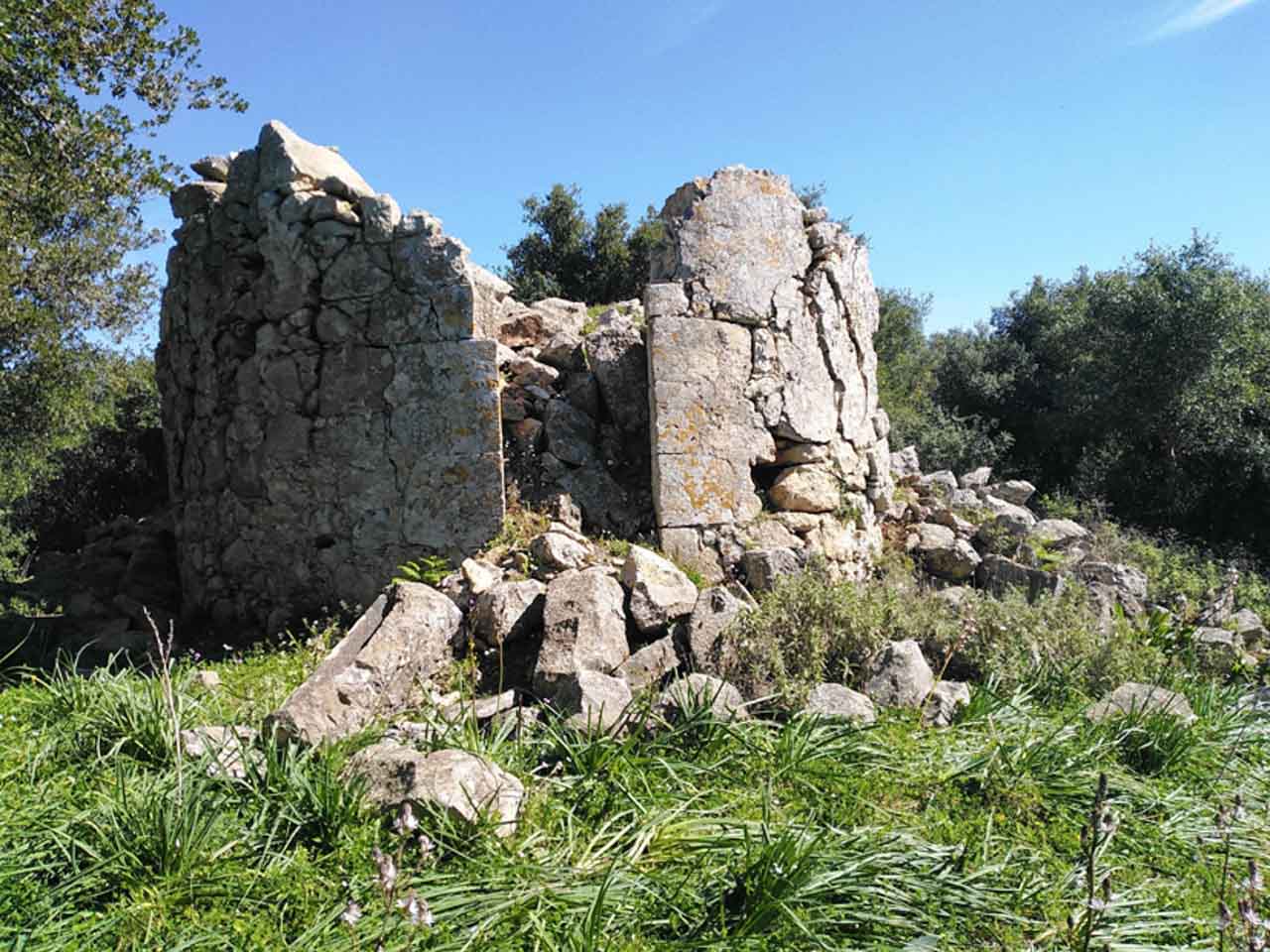 Περιβαλλοντική Δράση "Περπατώντας ένα μονοπάτι της Παλικής με πλούσια ...